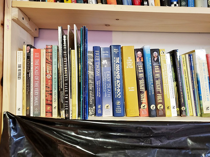 Books that have survived countless readers, their spines telling stories before you even open them &ndash; literary time capsules waiting for new eyes.