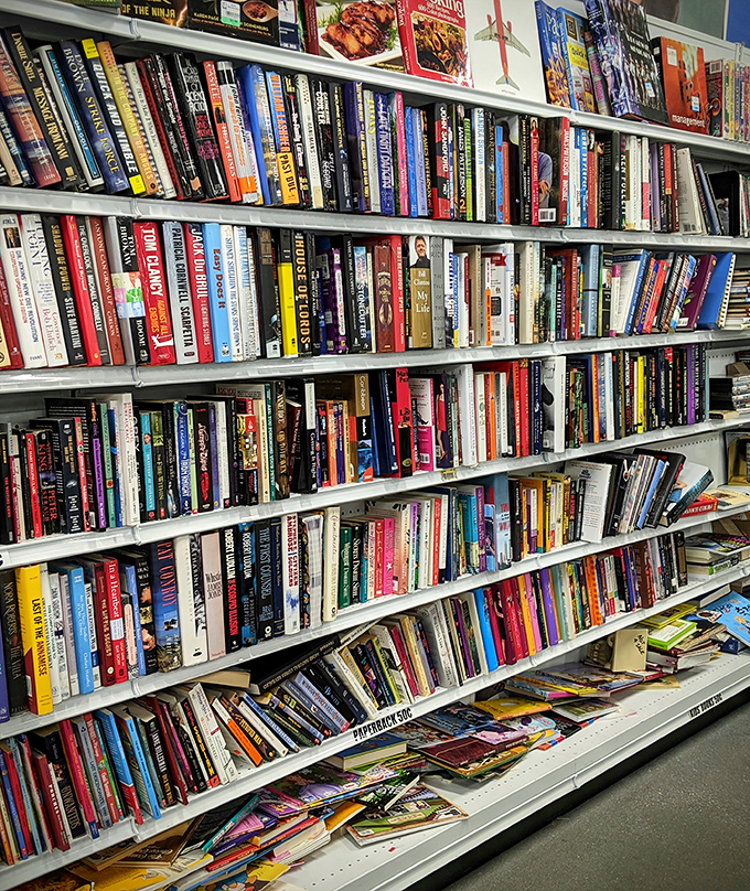 Shelves packed with books offering more entertainment per dollar than any streaming service could ever dream of providing you.