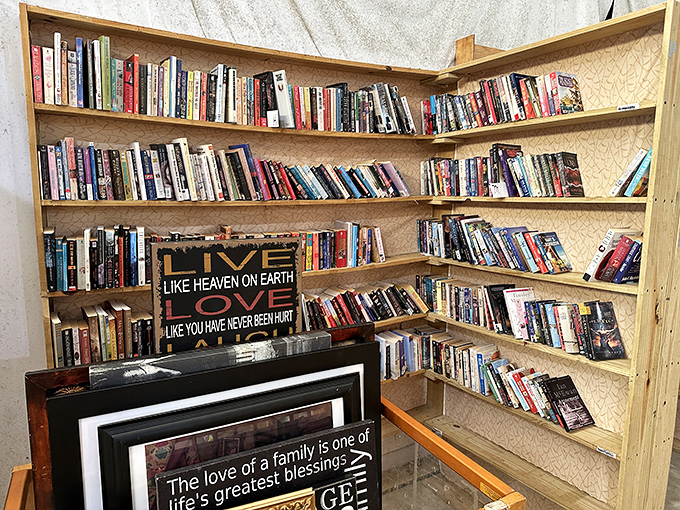A bibliophile's dream corner where dog-eared paperbacks and hardcover classics create the perfect low-tech escape from Florida's afternoon heat.