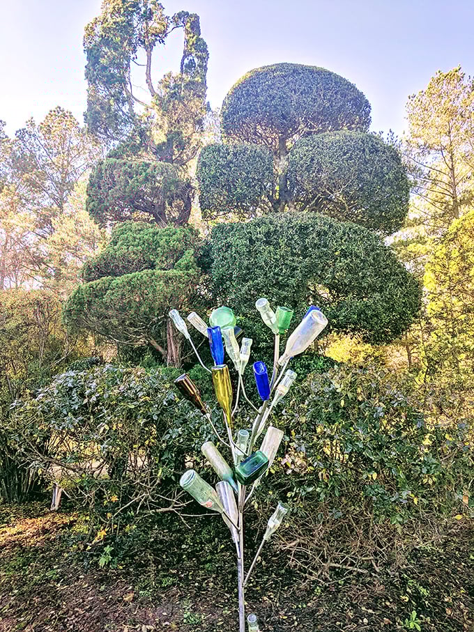 Bottles transformed into a "glass tree" catch sunlight like jewels. Pearl's creativity extends beyond plants to found objects that become unexpected garden art.