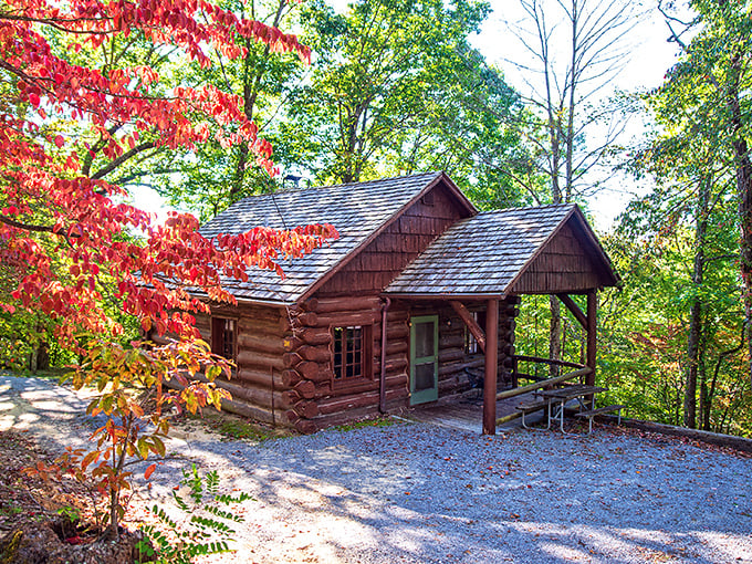 Log cabins that make you want to disconnect from WiFi and reconnect with nature. Rustic luxury with a side of autumn splendor.