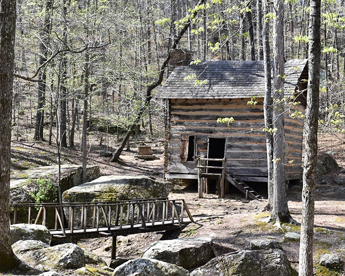 This rustic log cabin whispers stories of simpler times. No WiFi, no problem&mdash;just pure connection with the natural world.