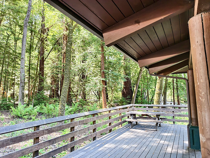 The perfect forest hideaway for your next great American novel. Writers block doesn't stand a chance against this inspirational backdrop.