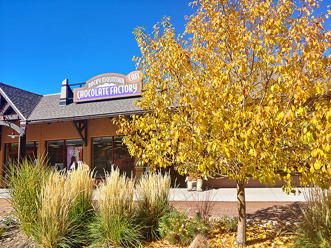 Rocky Mountain Chocolate Factory tempts shoppers with sweet indulgences. That golden tree seems to be saying, "Yes, you deserve chocolate after all this walking."