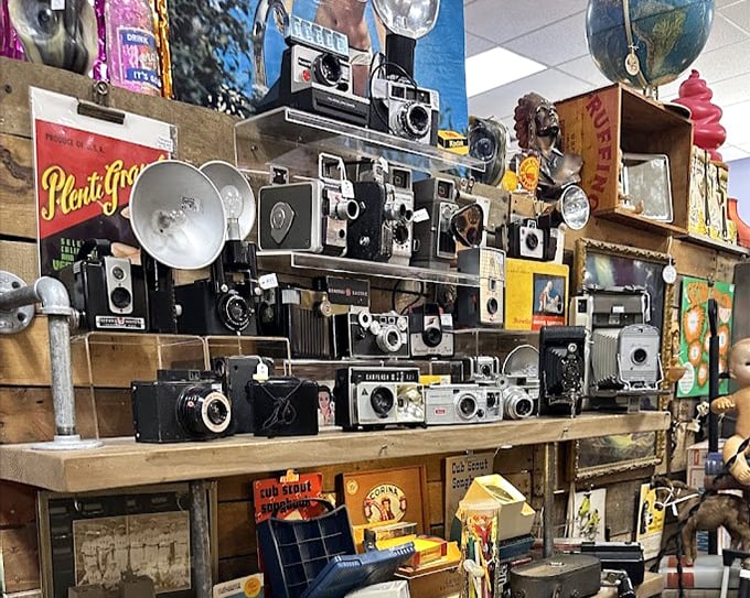 The camera collection that makes your smartphone feel inadequate &ndash; each vintage Kodak and Polaroid a mechanical time machine to bygone eras.