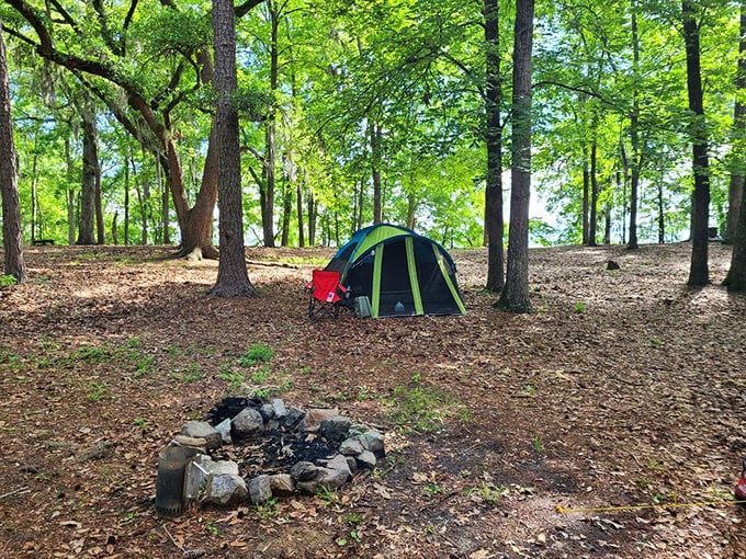 A simple tent, a stone fire ring, and a cathedral of trees &ndash; sometimes the five-star experience doesn't need actual stars on the door.