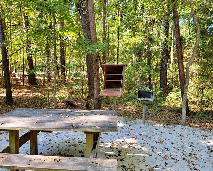 A picnic table with forest views beats any restaurant reservation. The dress code? Whatever survived your hike.