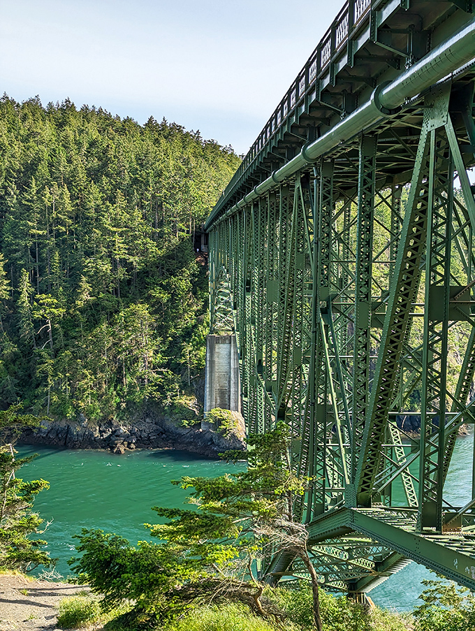 The iconic green span of Deception Pass Bridge. Engineering marvel meets natural wonder in perfect Pacific Northwest harmony.