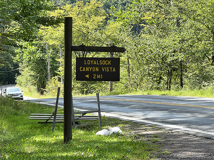 The sign says two miles, but the memories you'll make at Loyalsock Canyon Vista will last considerably longer.