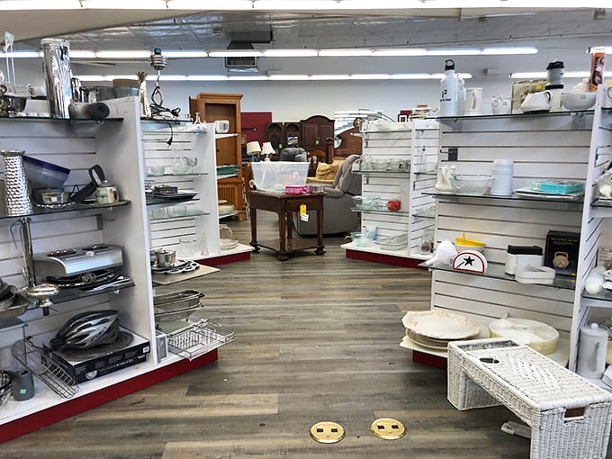 The housewares section&mdash;organized with military precision. These shelves hold everything from practical kitchenware to conversation-starting curios.