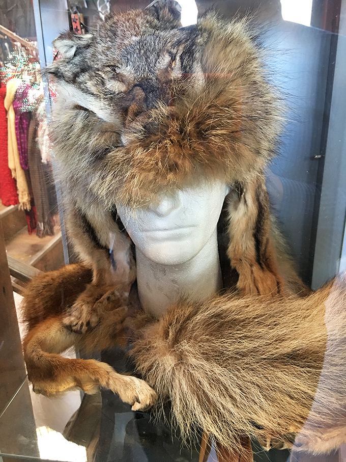 Not for the faint-hearted fashionista: vintage fur pieces serve as reminders of bygone eras when wilderness met wardrobe without apology.