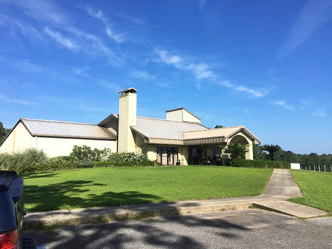 At Chautauqua Vineyards & Winery, Florida sunshine transforms into liquid gold, offering tastings with a side of pastoral tranquility and zero pretension.