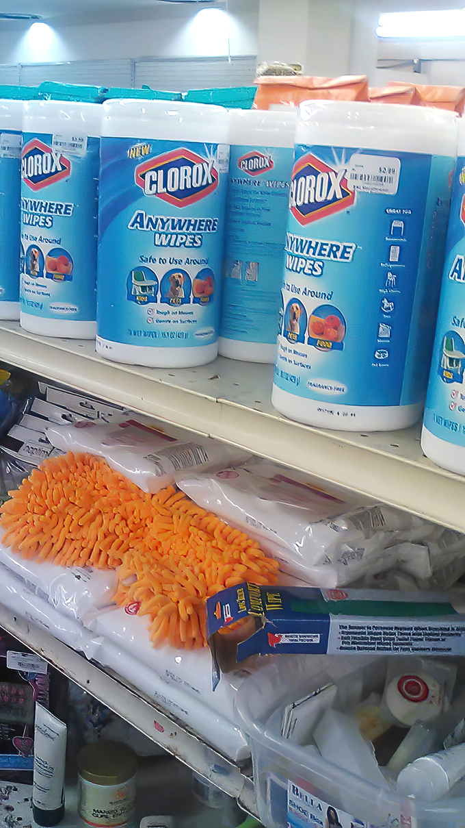 Even cleaning supplies get a second chance. Those orange microfiber mitts are ready to dust their way into a new home.