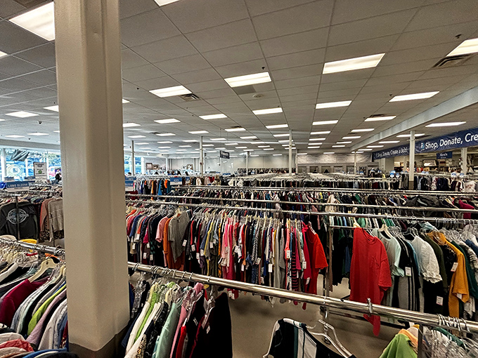 The clothing forest stretches to the horizon. Like an archaeological dig through fashion history, each rack tells tales of trends come and gone.