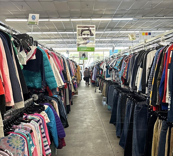 The clothing forest stretches as far as the eye can see &ndash; winter coats to summer dresses, all patiently waiting for their fashion resurrection.