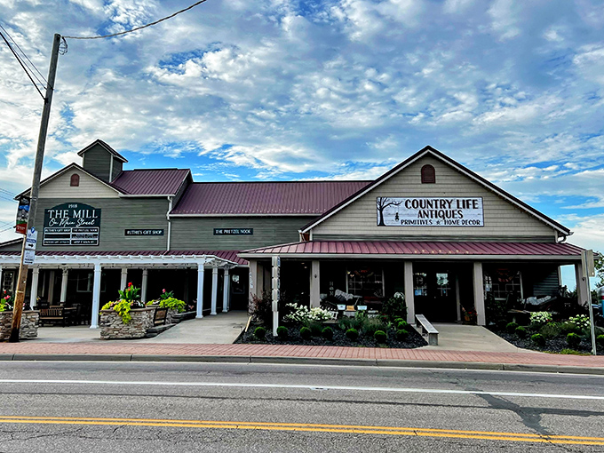 Antiques piled high with stories, waiting for someone who appreciates things built to outlast warranties.