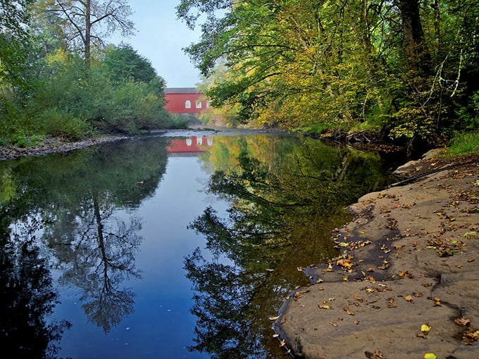 Thomas Creek offers the perfect mirror, doubling the visual impact of the bridge. Mother Nature's own Instagram effect has been working here long before smartphones.