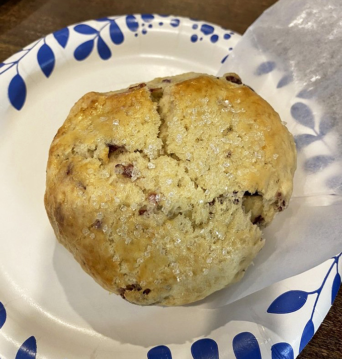 The cranberry scone has achieved pastry perfection: crumbly yet moist, studded with fruit, and dusted with sugar crystals that catch the light like tiny diamonds.