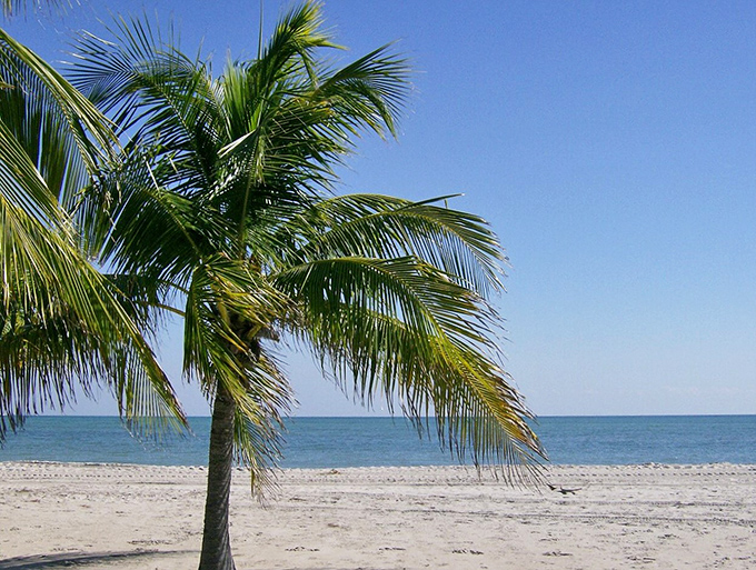 Palm fronds frame a beach so perfect it looks Photoshopped &ndash; except the sand between your toes confirms it's gloriously real.