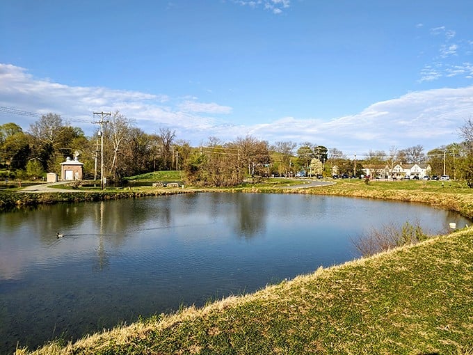 Curtis Mill Park's tranquil pond reflects more than just clouds&mdash;it mirrors Newark's commitment to preserving natural spaces within urban boundaries.