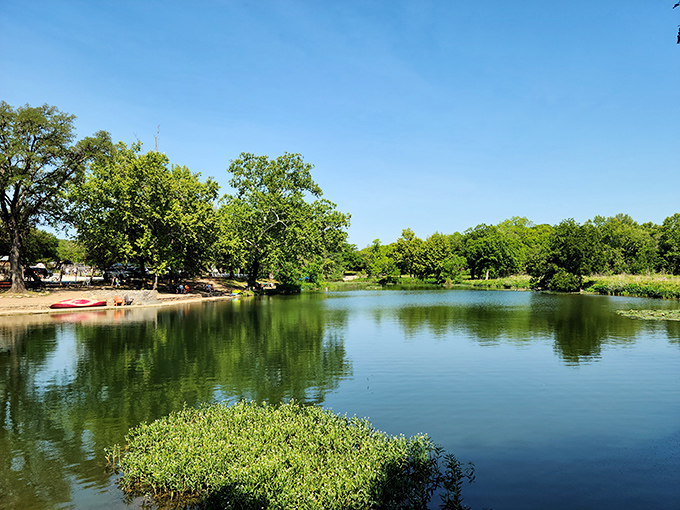 Blue-green waters of Cypress Creek create nature's perfect swimming hole, rimmed by trees that have witnessed generations of cannonballs.