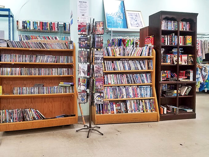 The media section: where forgotten DVDs and CDs go to find new homes with people who still appreciate physical media in a streaming world.