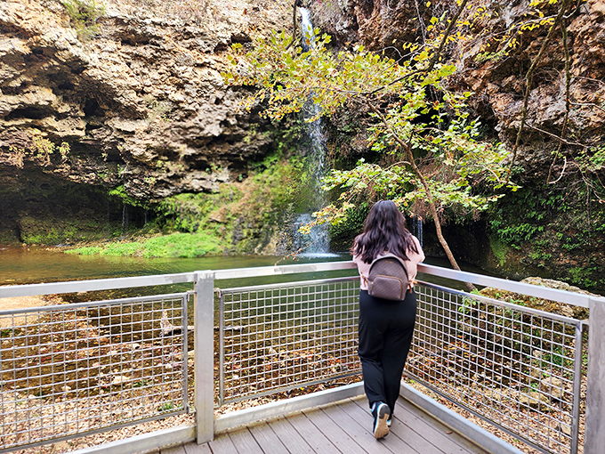 The viewing platform provides front-row seats to nature's greatest show &ndash; no binoculars required, just bring your sense of wonder.