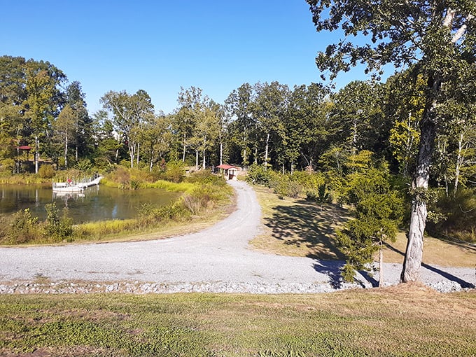 Denso Eco Park offers that quintessential Tennessee serenity &ndash; a winding path, still water, and enough trees to make your lungs remember what oxygen is supposed to taste like.