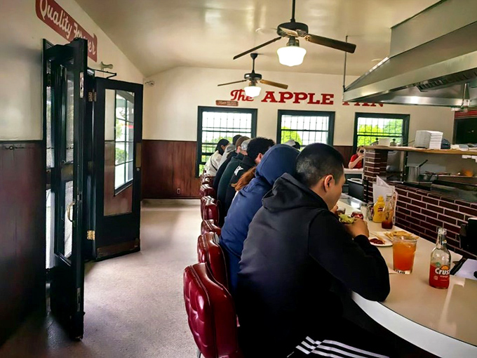 The counter seating creates an intimate dining democracy where everyone gets a front-row view of the culinary choreography happening just feet away.