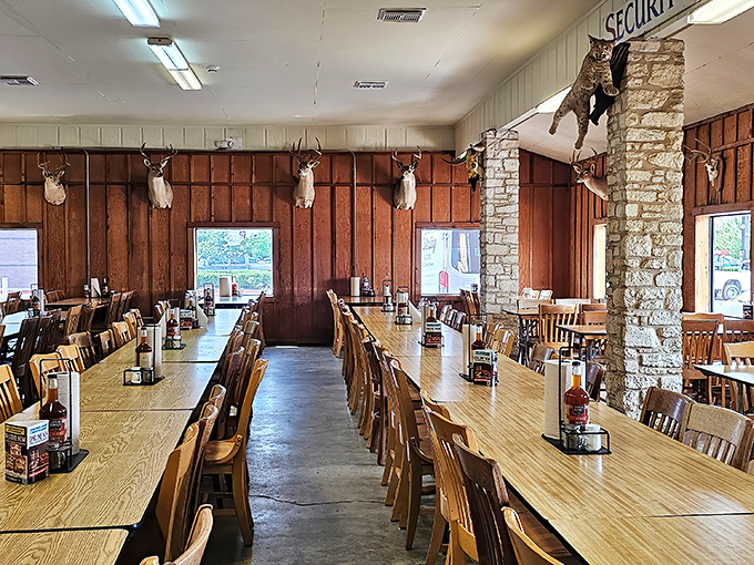 Mounted deer heads watch over diners in this temple of meat, where wood-paneled walls have absorbed decades of post oak smoke and satisfied sighs.