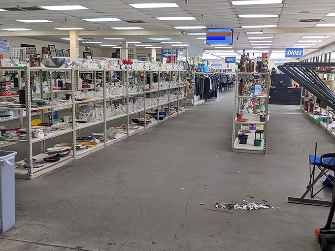 Kitchen appliances lined up like contestants on a talent show, each one hoping for a second chance at brewing, toasting, or blending greatness.