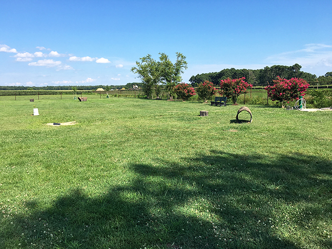 This expansive green space isn't just a field—it's Oxford's breathing room, where the Eastern Shore sky puts on its daily show.
