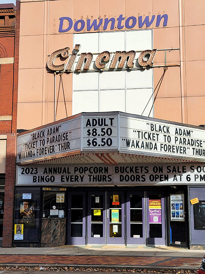 The Downtown Cinema marquee glows with promise, offering affordable escape into other worlds while maintaining that increasingly rare small-town movie palace charm.