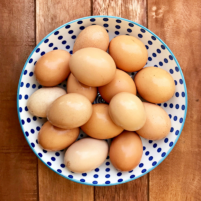 These aren't your standard supermarket eggs. Each one tells the story of sunshine, open pastures, and chickens that actually recognize the morning.