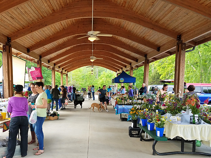 The Eno River Farmers Market: where dogs are welcome, conversations flow freely, and the produce is so fresh it might still be growing.