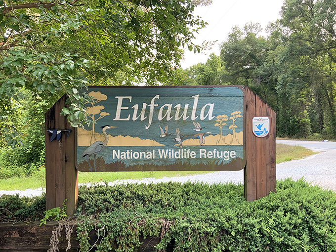 The Eufaula National Wildlife Refuge sign promises bird-watching adventures where binoculars are essential and cell phone notifications are gloriously irrelevant.