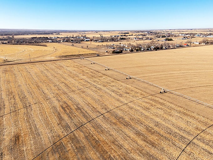 Fields of gold stretch to the horizon, reminding visitors that Sterling's wealth isn't measured in skyscrapers but in acres of productivity and open sky.