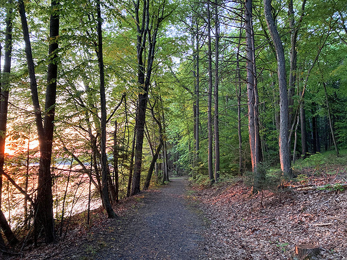 Sunlight plays hide-and-seek through towering trees along Fisherman's Trail, creating nature's own version of a disco ball effect.