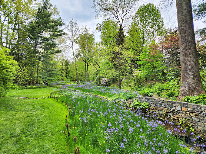 Colorful blooms cascade around stone steps in a display that makes you wonder if Mother Nature moonlights as an interior decorator.