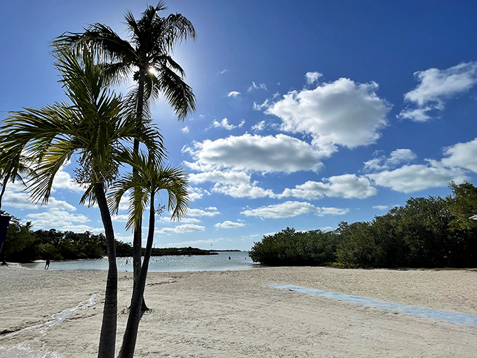 Paradise defined: swaying palms, pristine sand, and that impossibly blue Florida Keys sky that makes Monday feel like Saturday.