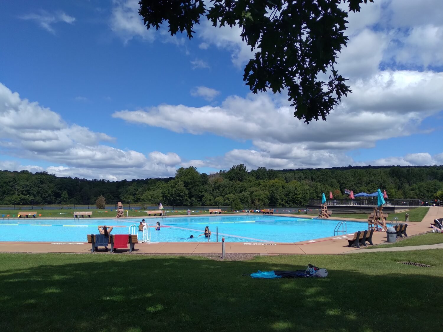 Summer's antidote to Pennsylvania humidity&mdash;a sparkling pool where "Marco Polo" becomes the day's most important conversation.