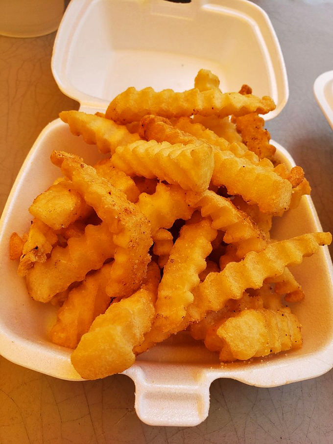 These aren't just fries; they're golden, crispy supporting actors that deserve their own standing ovation. Perfectly seasoned and ready for dipping.