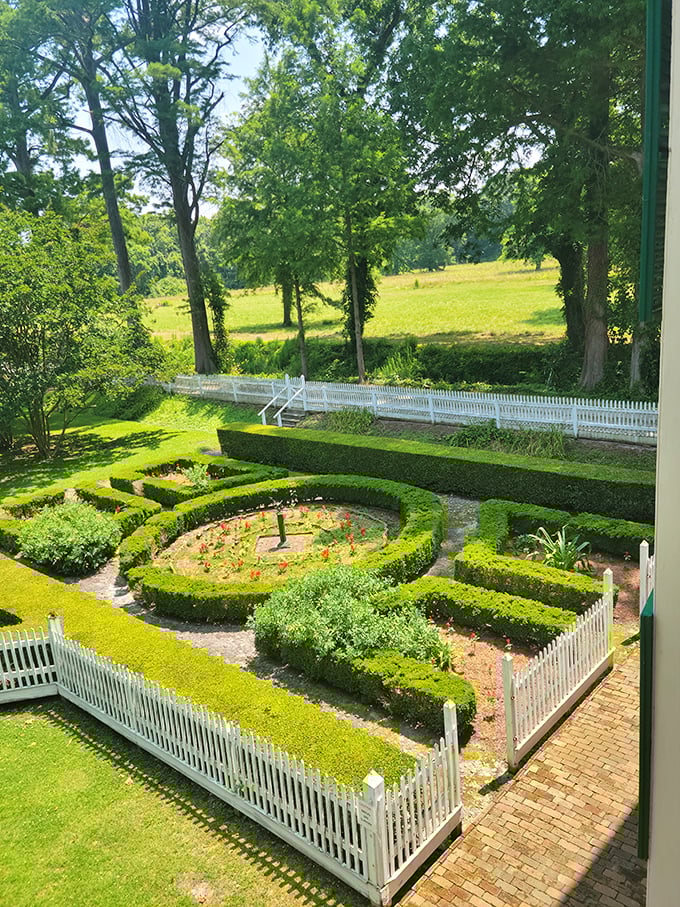 The meticulously maintained formal garden at Somerset Place offers geometric precision amid natural wilderness. A horticultural chess board waiting for giant players.