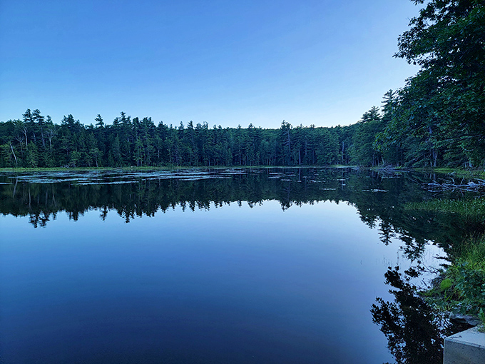 Gilson Pond at twilight, where the water holds perfectly still, as if posing for a portrait. Mirror, mirror on the pond...