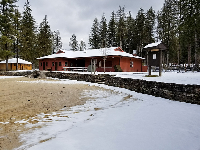 Winter's quiet transformation of the park. Snow dusts the beach and buildings, creating a peaceful alternative universe to summer's bustling activity.