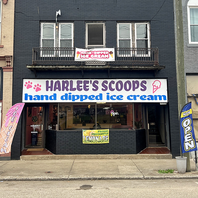 Harlee's Scoops proves that hand-dipped ice cream is still one of life's perfect pleasures. The bright storefront promises sweet relief from Ohio's summer heat.