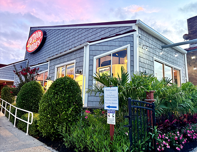 Harpoon Hanna's blue-gray exterior belies the colorful seafood creations waiting inside. Where locals go when they're serious about dinner with a view.