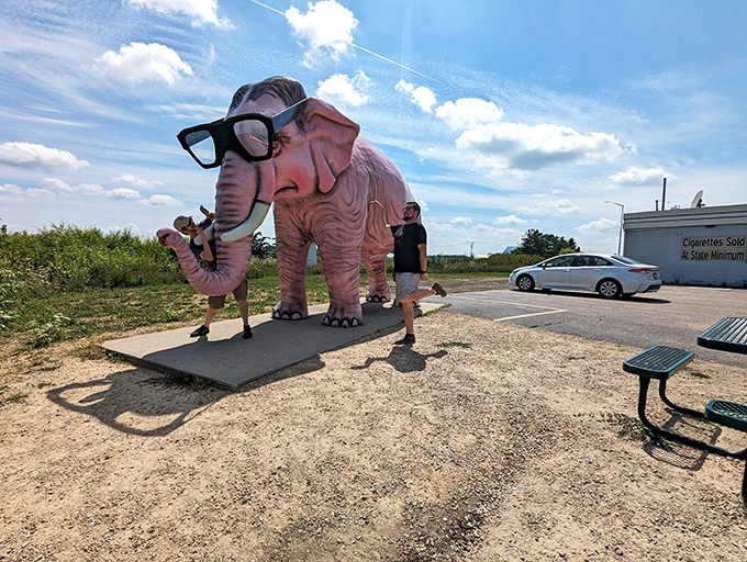 Size comparison for scale: one pink elephant equals approximately three awestruck tourists and countless delighted double-takes.