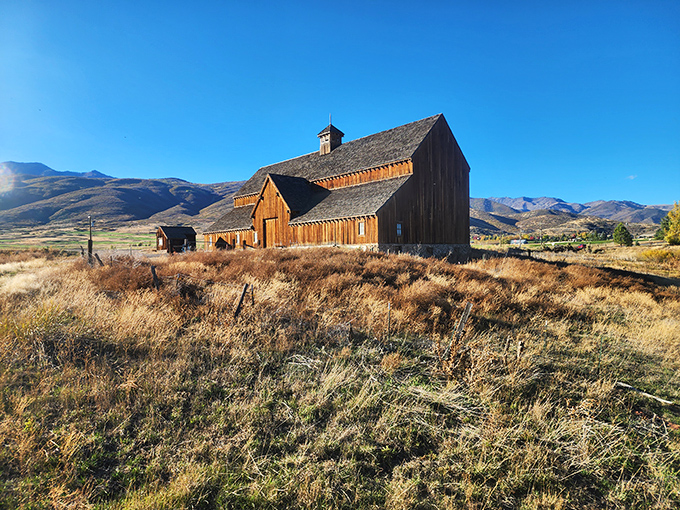 The historic barn stands as a reminder that before Midway was a tourist destination, it was farmland with the world's most enviable views.