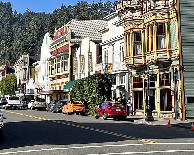 Embraces Ferndale's colorful buildings like nature's own Instagram filter, softening edges and adding mystery to the Victorian village.